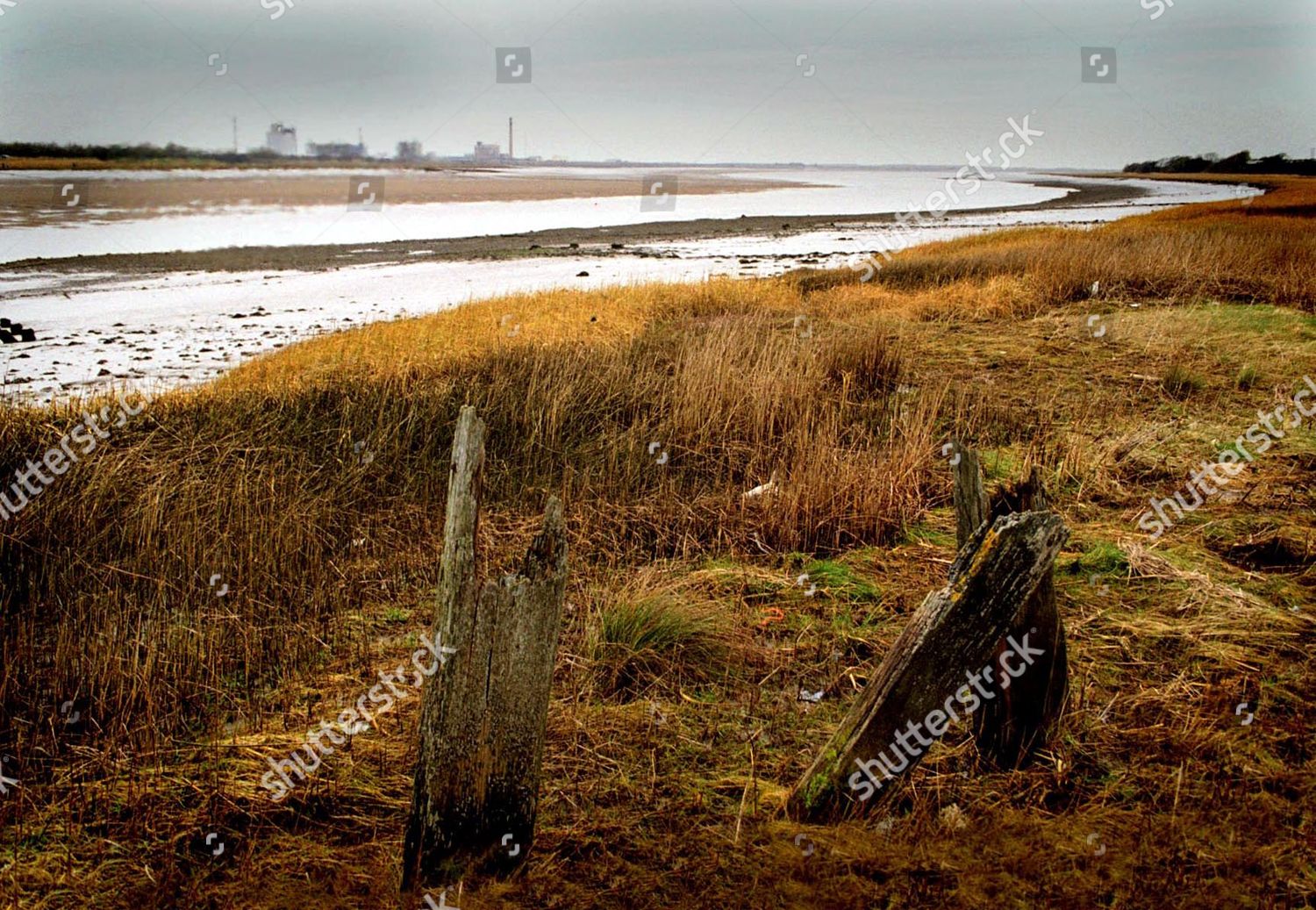 Preesall Flats North Blackpool Where Shelly Editorial Stock Photo ...