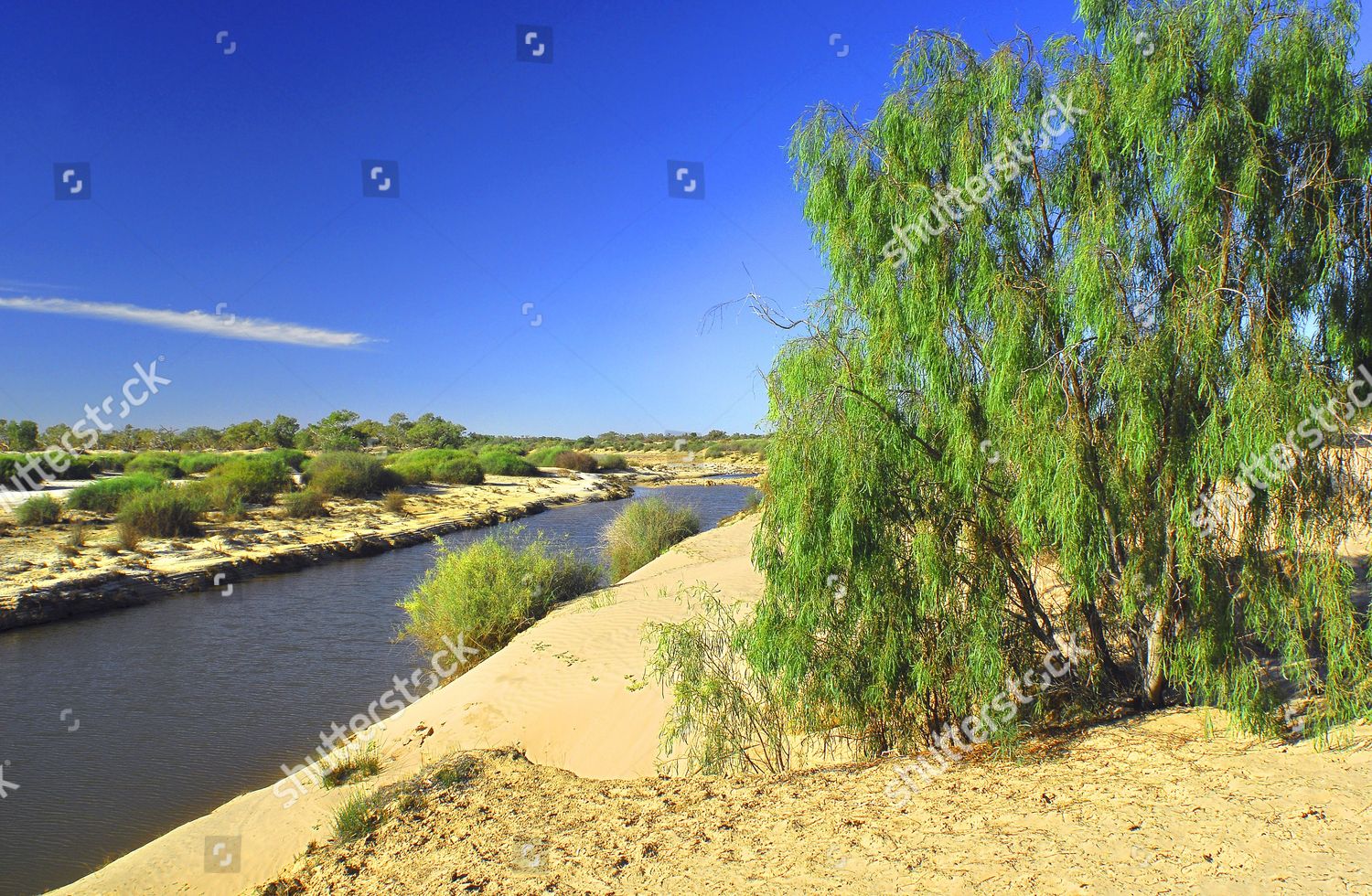 Varied Riparian Habitats Anabranch Warburton River Editorial Stock ...