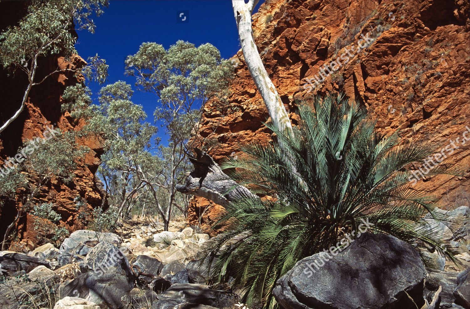 Serpentine Gorge West Macdonnell National Park Editorial Stock Photo ...