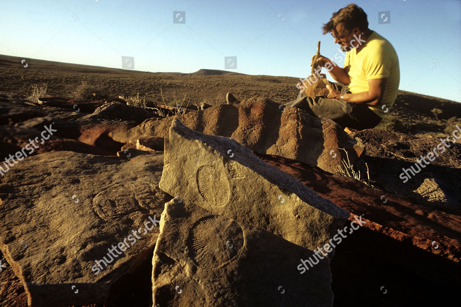 Paleontologist Working Dickinsonia Fossils Ediacara Hills Editorial ...