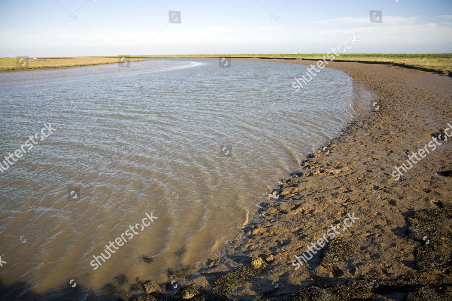 Butley River Creek Muddy River Bed Editorial Stock Photo - Stock Image ...