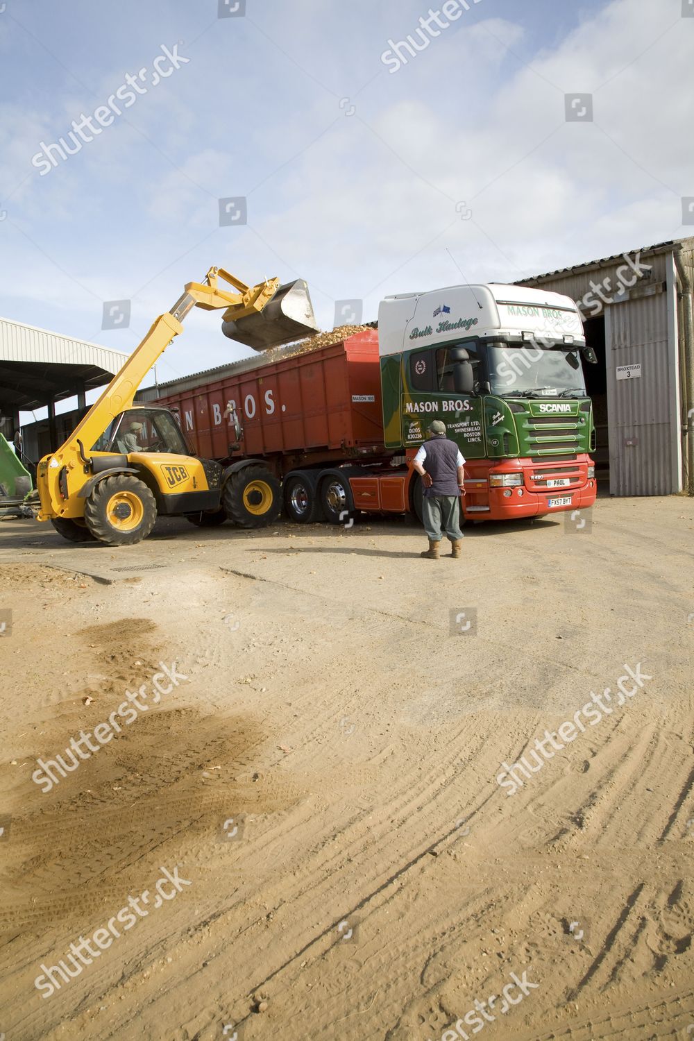 Loading Onions Onto Lorry Trailer Transport Editorial Stock Photo ...