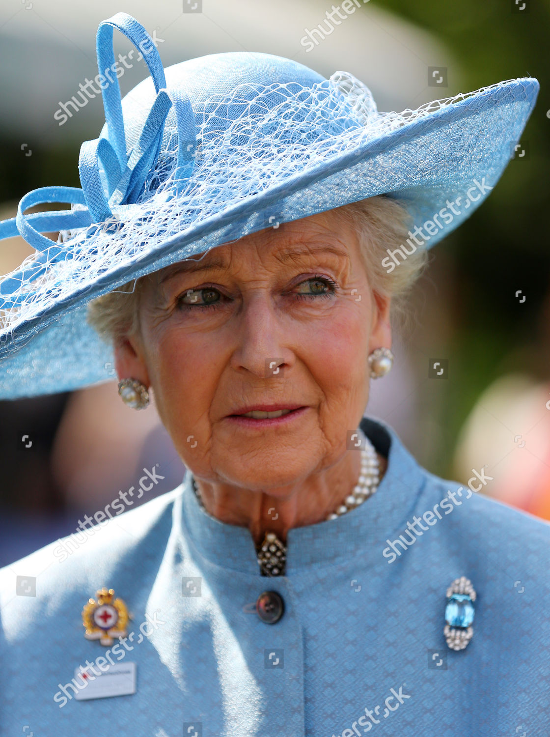 Princess Alexandra Kent Deputy President British Editorial Stock Photo ...