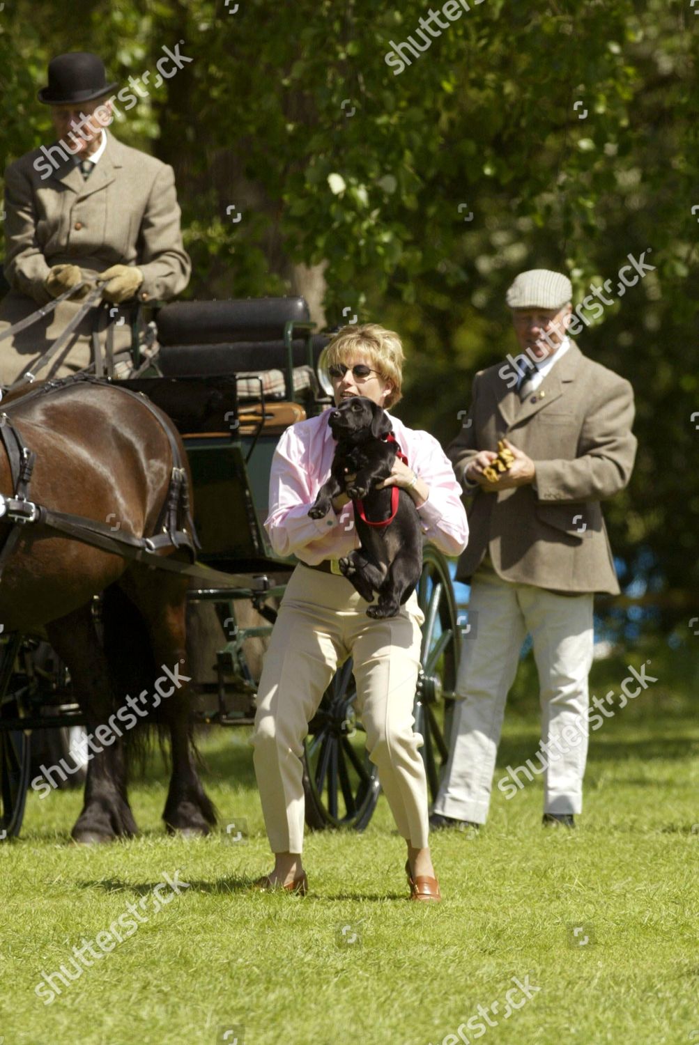 Sophie Countess Wessex Dog Prince Philip Editorial Stock Photo - Stock ...