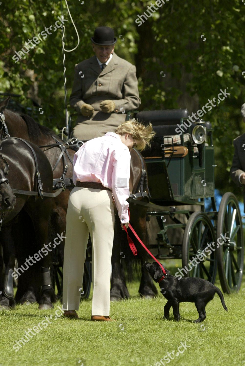 Sophie Countess Wessex Dog Prince Philip Editorial Stock Photo - Stock ...