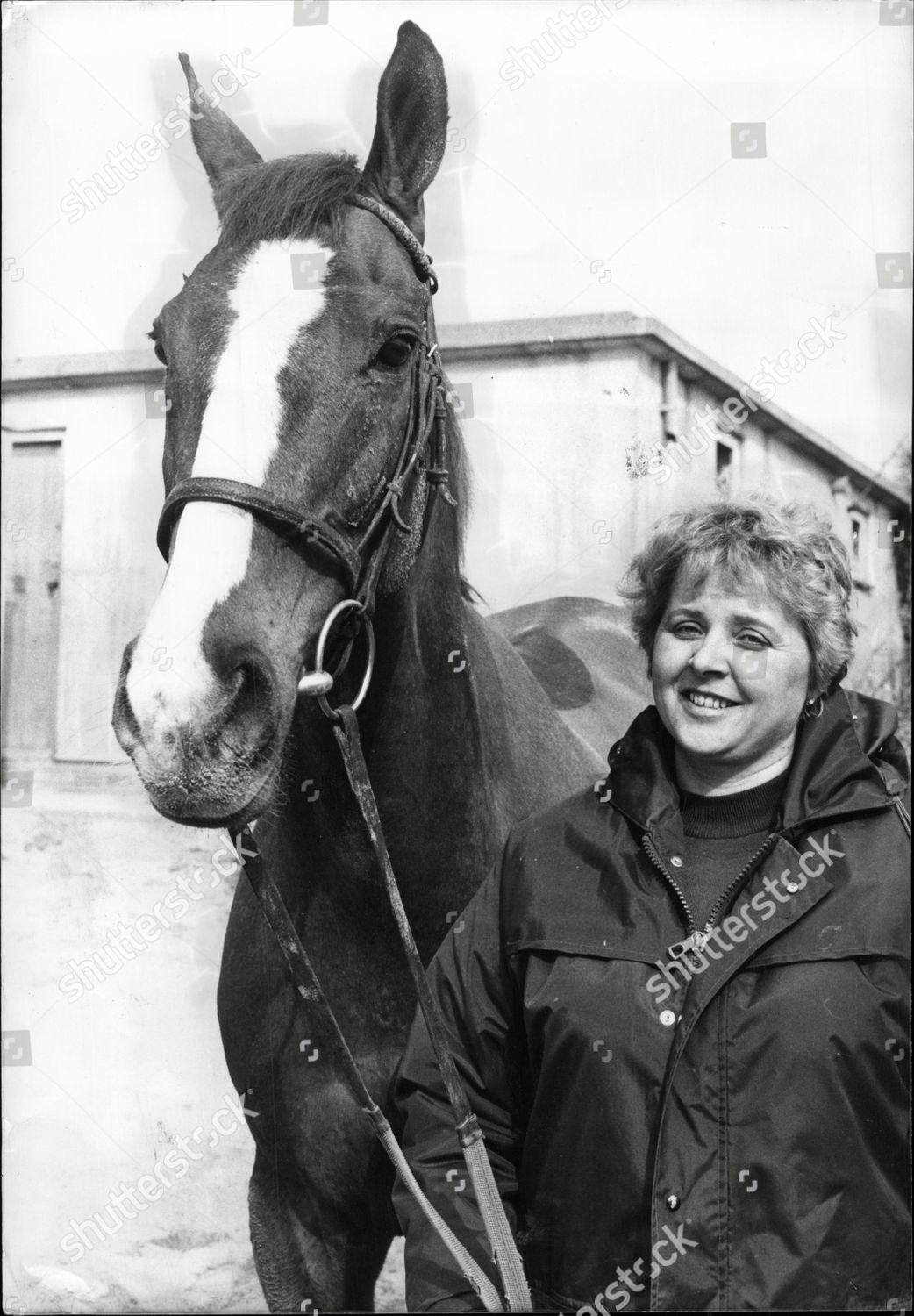 Jenny Pitman Racehorse Trainer Editorial Stock Photo - Stock Image ...