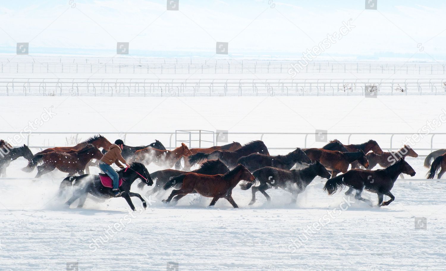 Herding Yili Horses Across Kunes Grassland Editorial Stock Photo ...