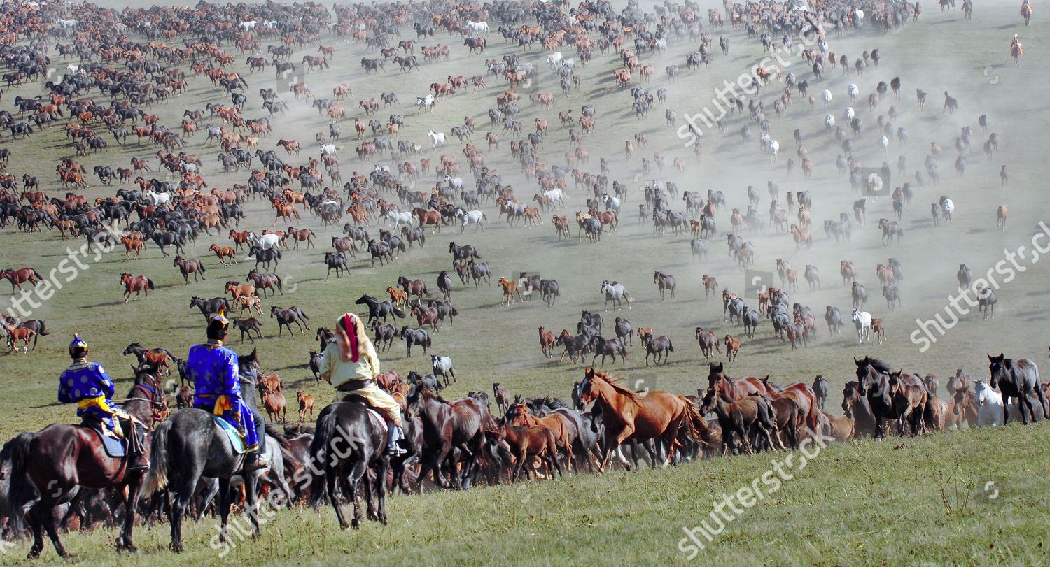 Herding Yili Horses Across Kunes Grassland Editorial Stock Photo ...