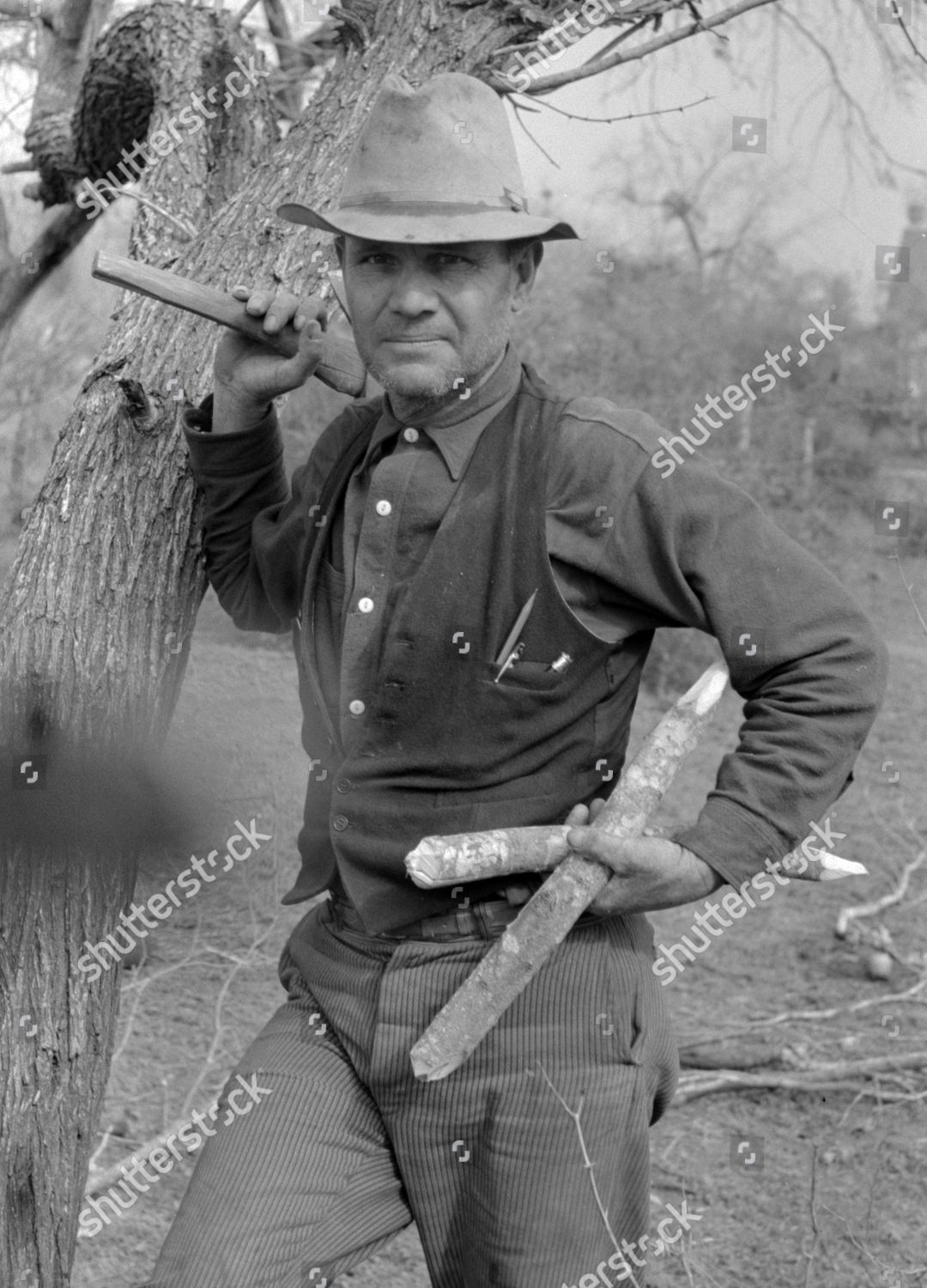 White Migrant Worker Hatchet Stakes Be Editorial Stock Photo - Stock ...