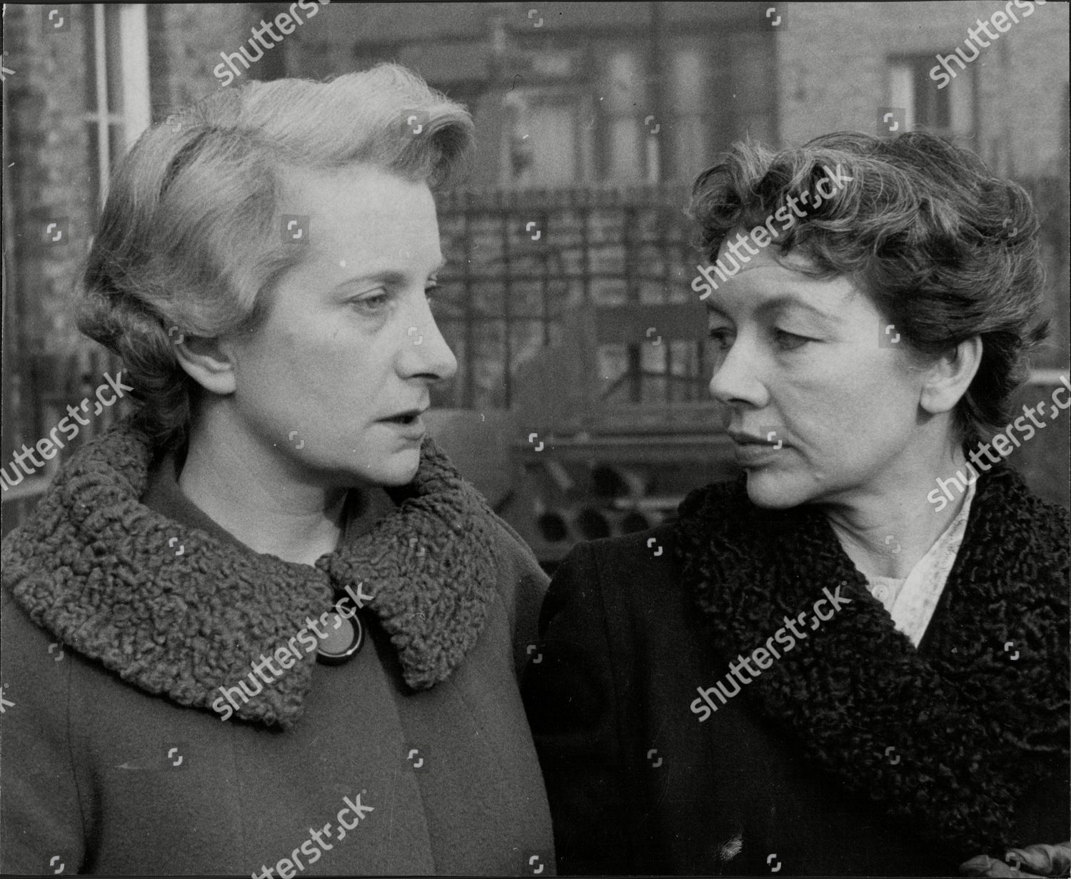 Mrs Hazel Malone Wife Cavan Malone Editorial Stock Photo - Stock Image ...
