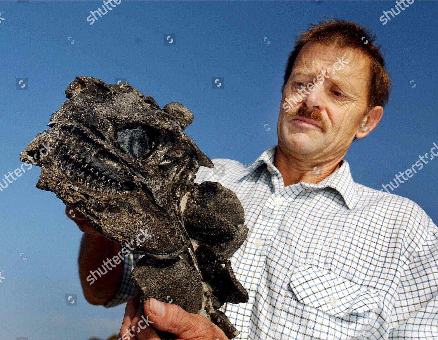 David Sole His 195 Million Year Editorial Stock Photo - Stock Image ...