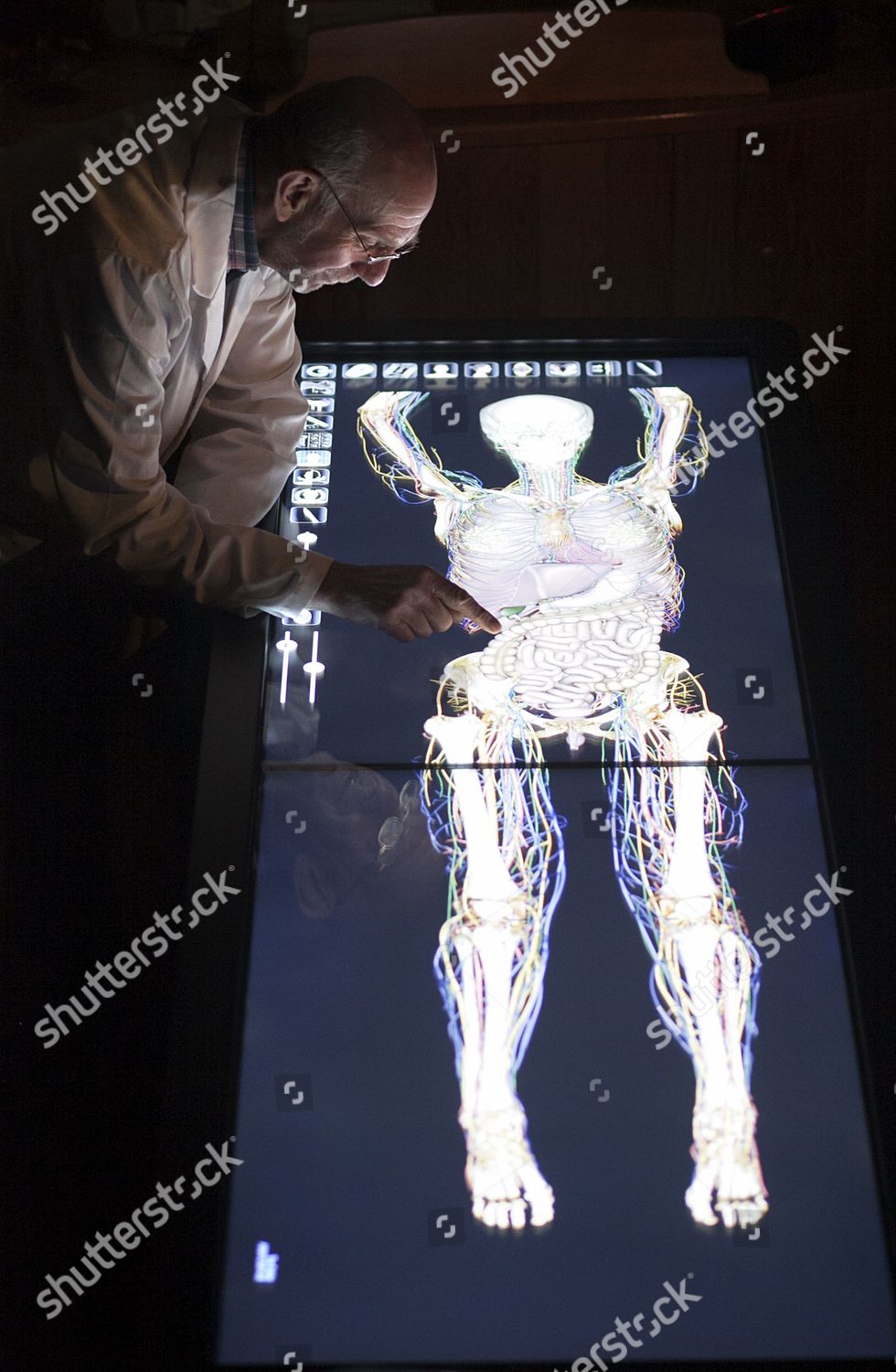 Gordon Findlater Professor Translational Anatomy Anatomage Editorial ...