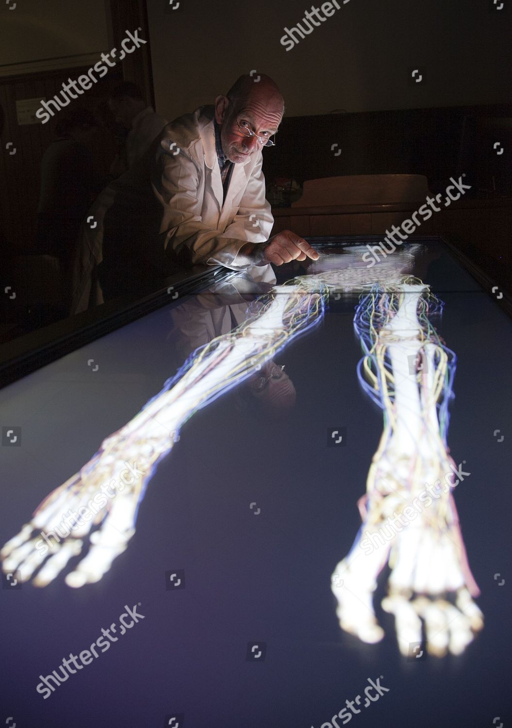 Gordon Findlater Professor Translational Anatomy Anatomage Editorial ...