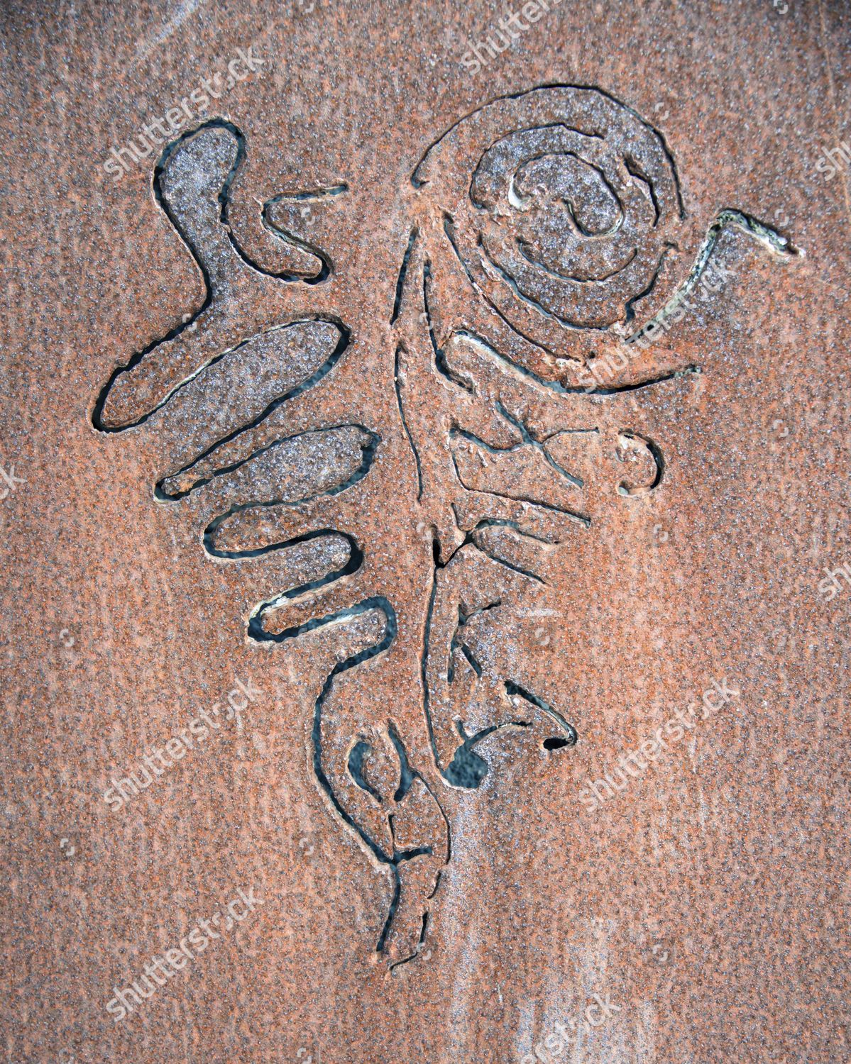 Petroglyphs Rock Engravings By Guanche Natives Editorial Stock Photo ...