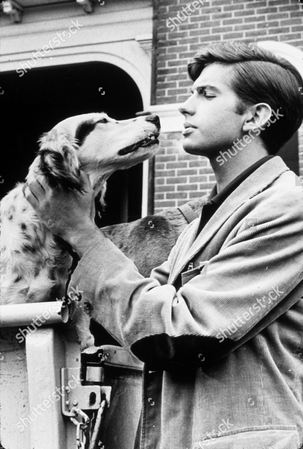 Film Stills 1959 Animals Actors Dog Editorial Stock Photo - Stock Image ...