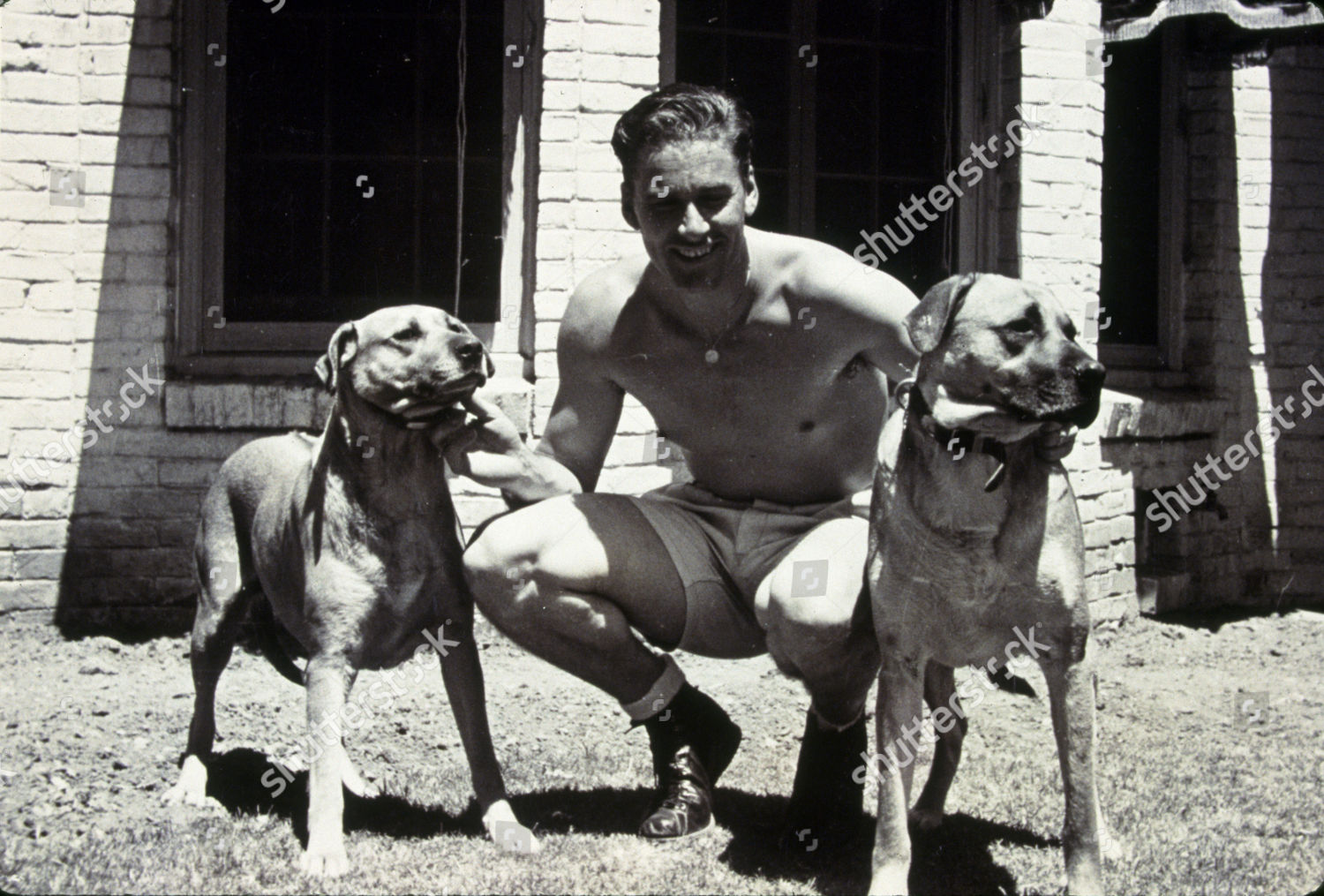 Film Stills 1937 Animals Actors Beefcake Editorial Stock Photo - Stock ...