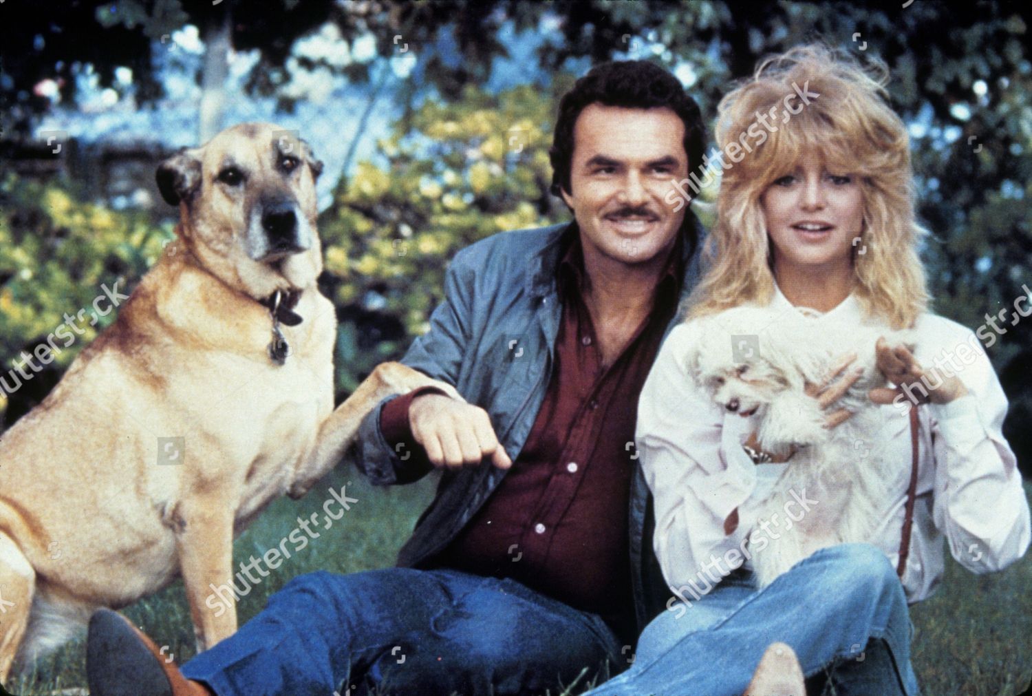 Film Stills Best Friends 1982 Animals Editorial Stock Photo - Stock ...