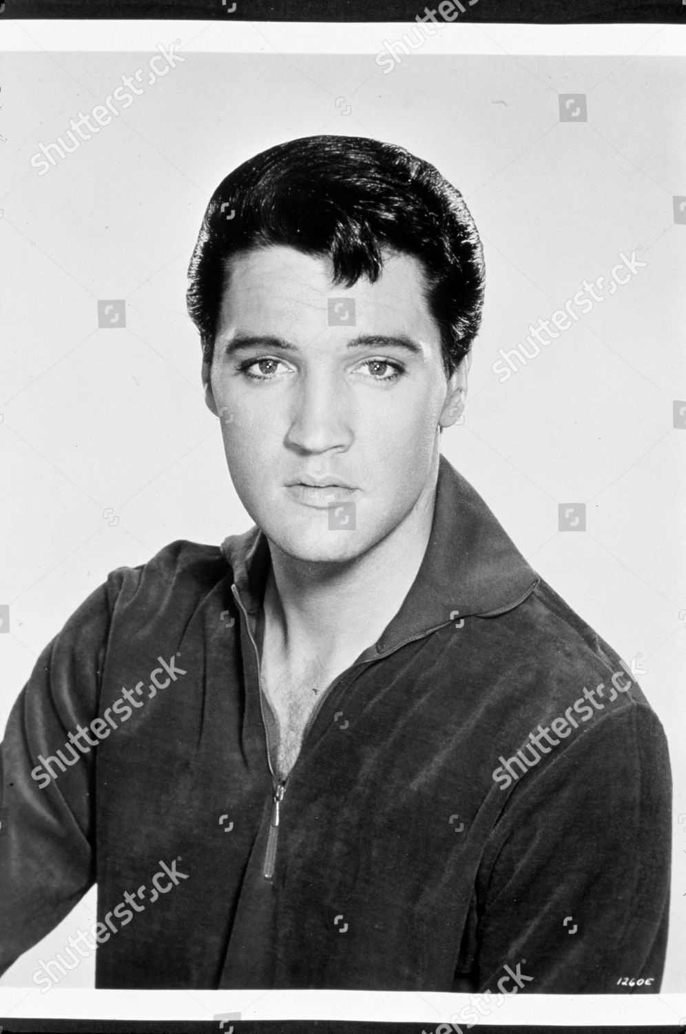 Film Stills 1965 Elvis Presley Head Editorial Stock Photo - Stock Image ...