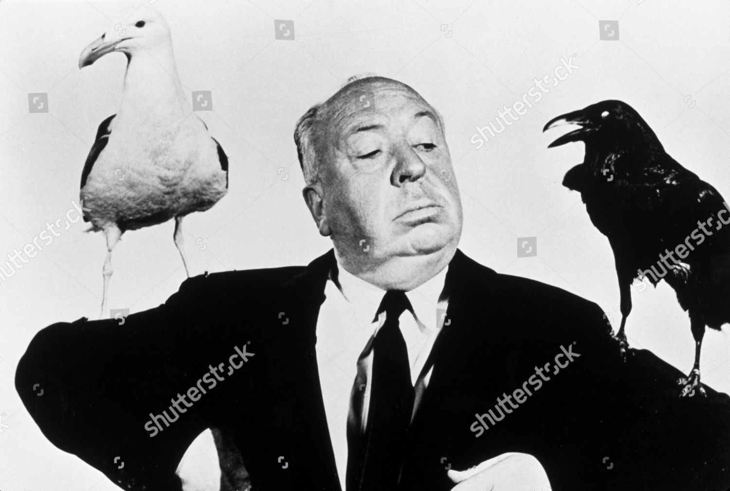 Film Stills Birds 1963 Alfred Hitchcock Editorial Stock Photo - Stock ...
