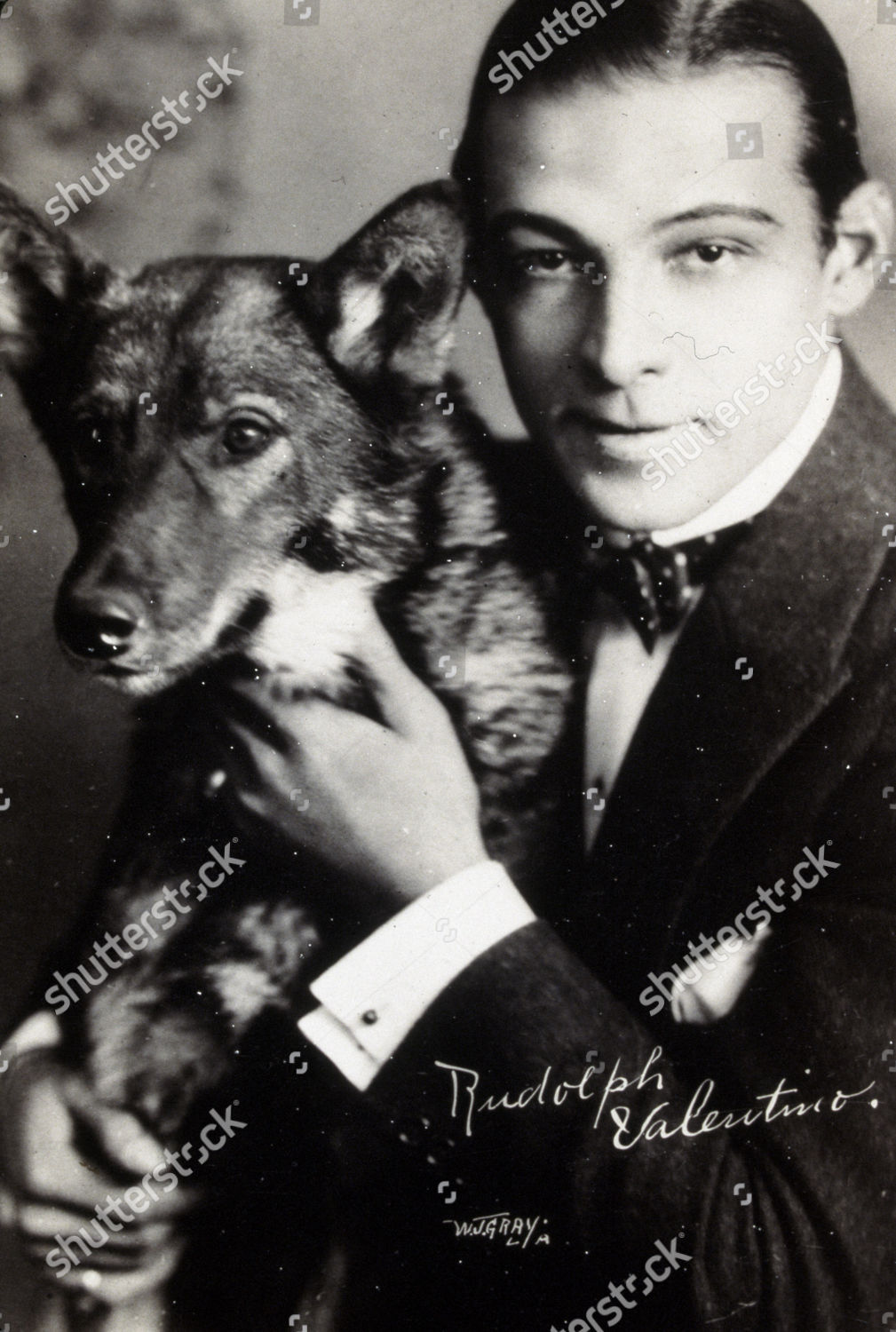 Film Stills 1922 Animals Actors Dog Editorial Stock Photo - Stock Image ...