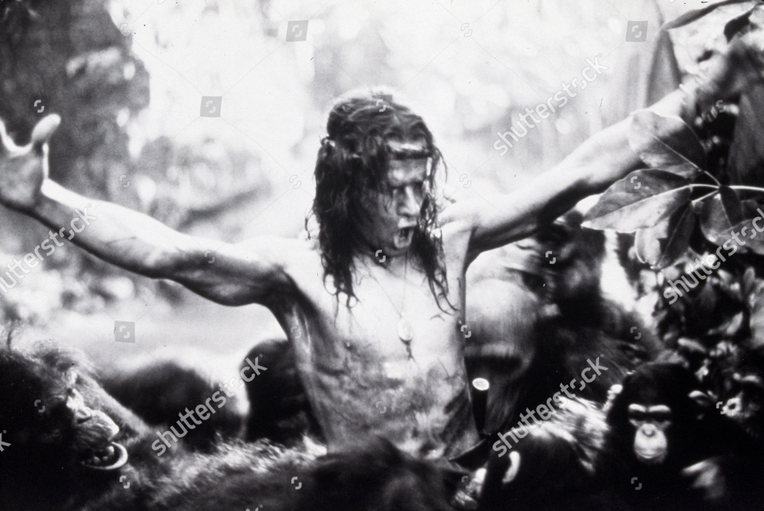 Film Stills Greystoke Legend Tarzan Lord Editorial Stock Photo - Stock ...