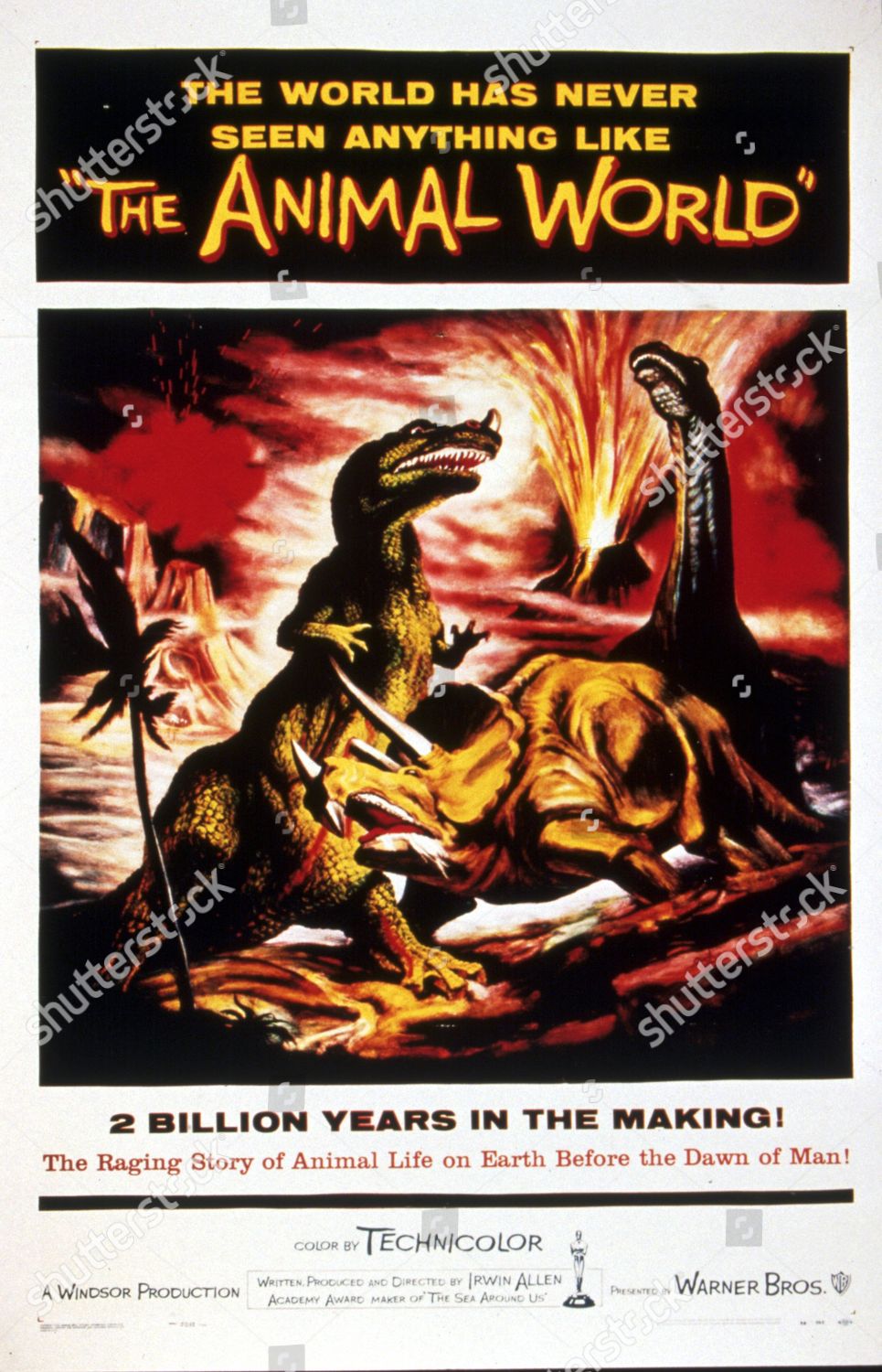 Film Stills Animal World 1956 Irwin Editorial Stock Photo - Stock Image ...