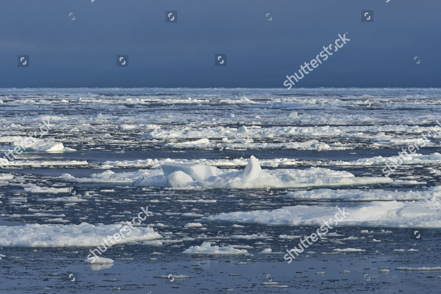 Ice Floes Edge Packice Arctic Ocean Editorial Stock Photo - Stock Image ...