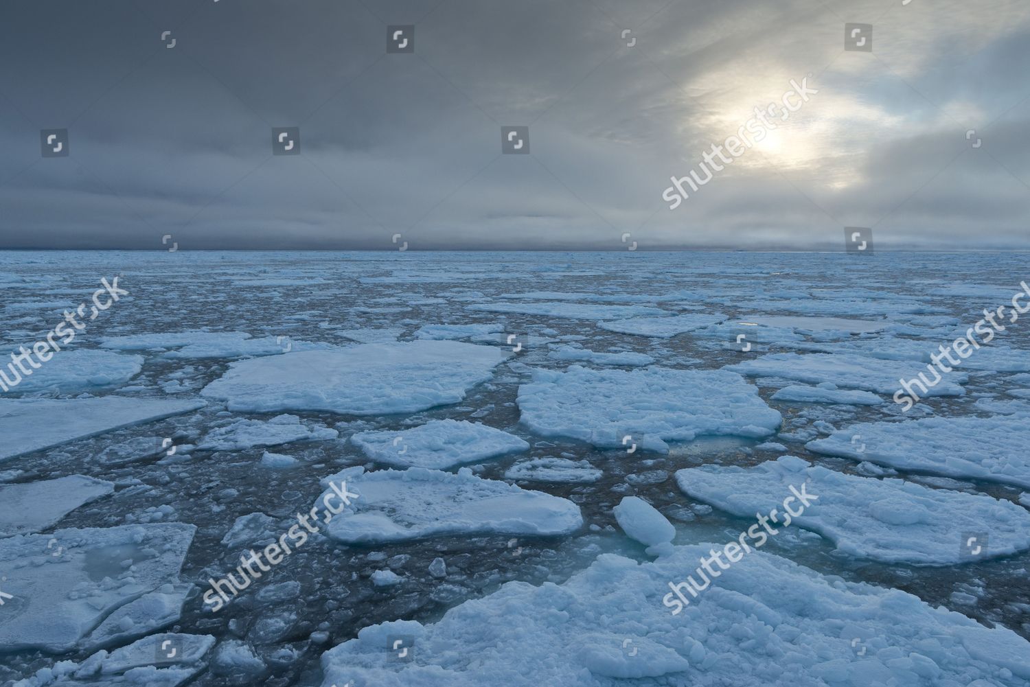 Ice Floes Edge Packice Arctic Ocean Editorial Stock Photo - Stock Image ...