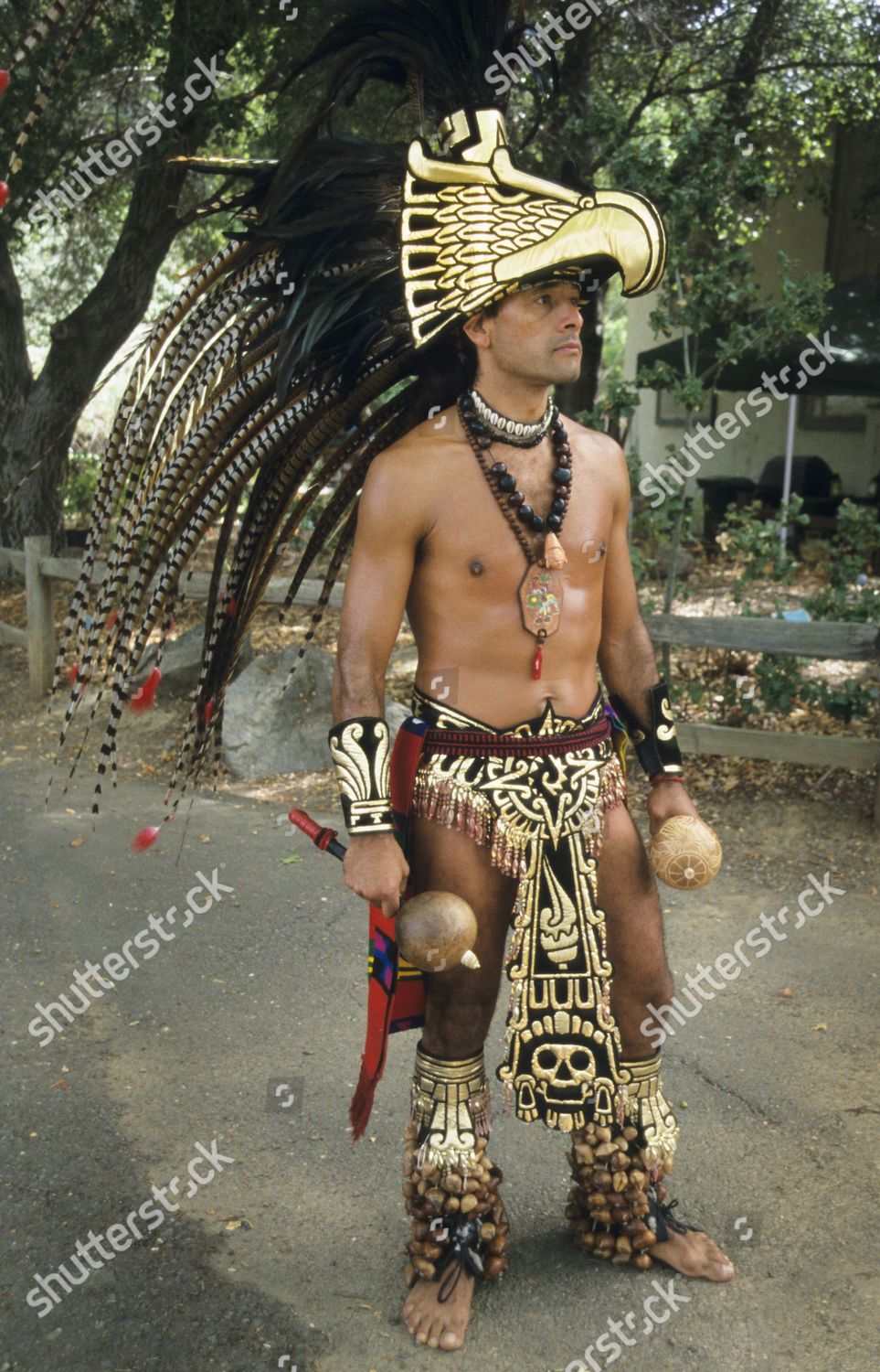 Man Wears Ornate Golden Aztec Regalia Editorial Stock Photo - Stock ...