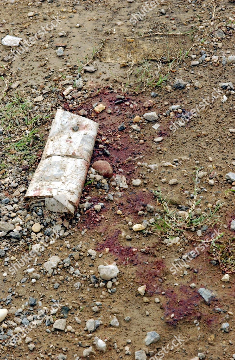 Blood Stains Ground Where 72 Yearold Editorial Stock Photo - Stock ...