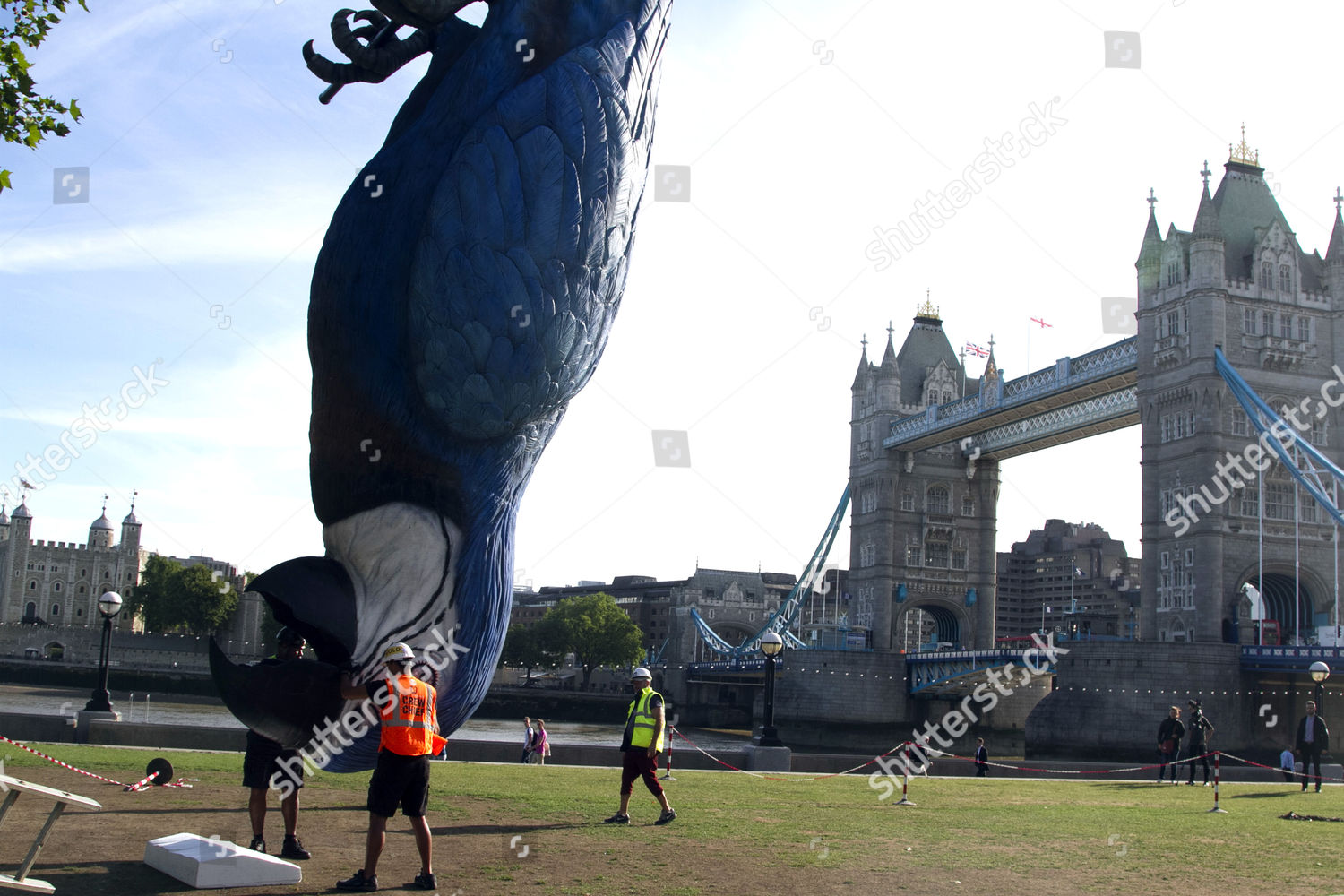 Workmen help put dead parrot place Editorial Stock Photo - Stock Image ...