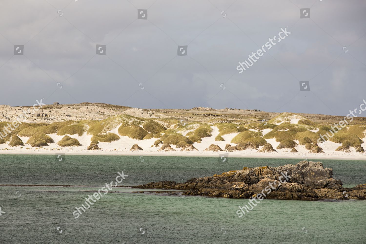 Gypsy Cove Near Port Stanley Falkland Editorial Stock Photo - Stock ...