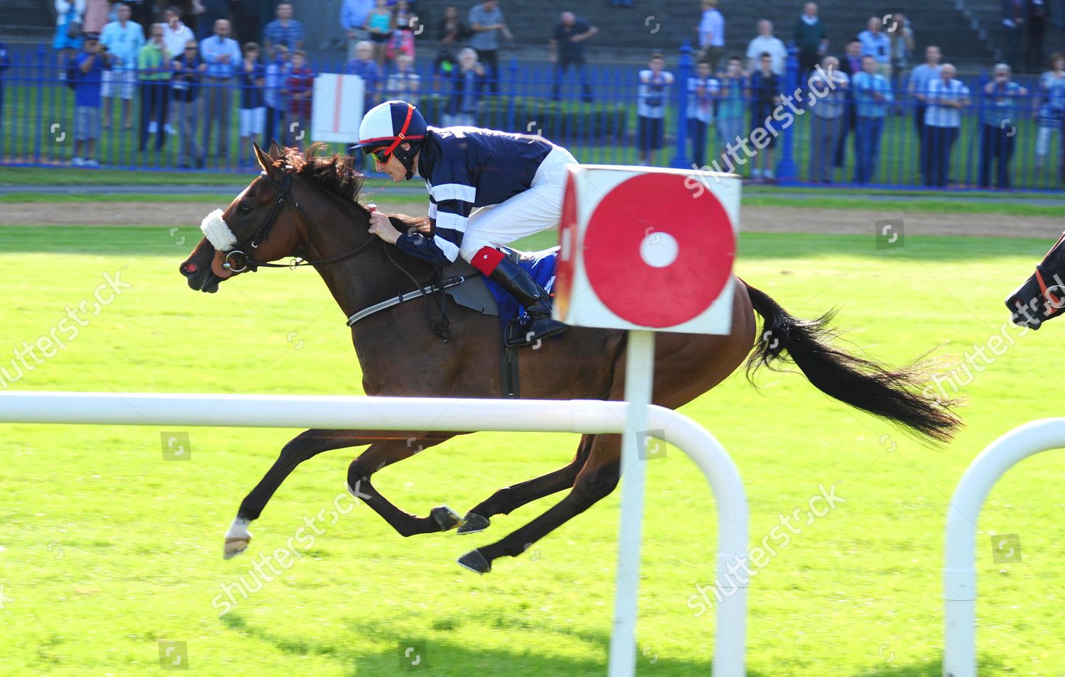 Leopardstown Jack Naylor Fran Berry Winning Editorial Stock Photo ...
