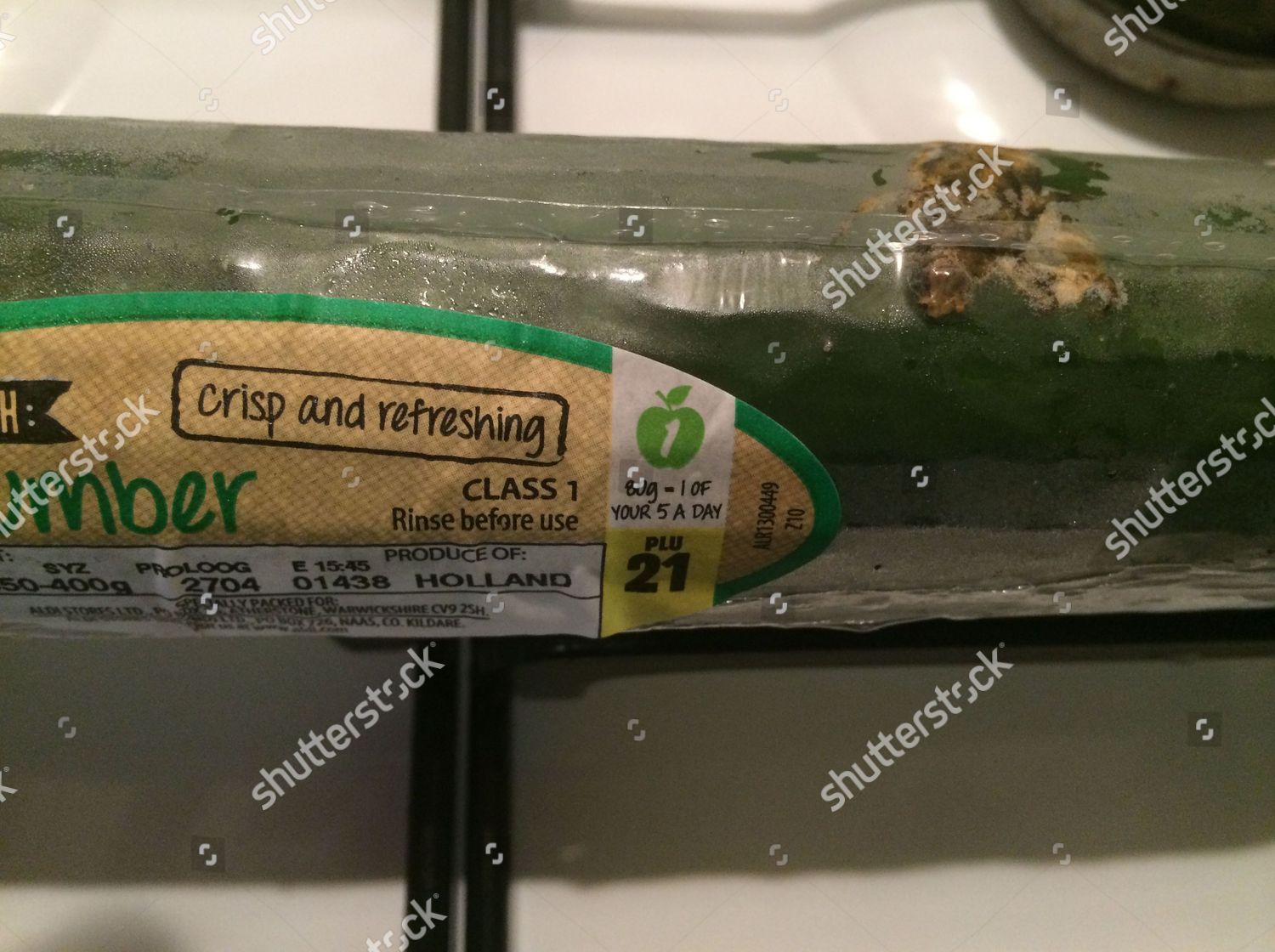 Lizard Inside Wrapped Cucumber Editorial Stock Photo - Stock Image ...