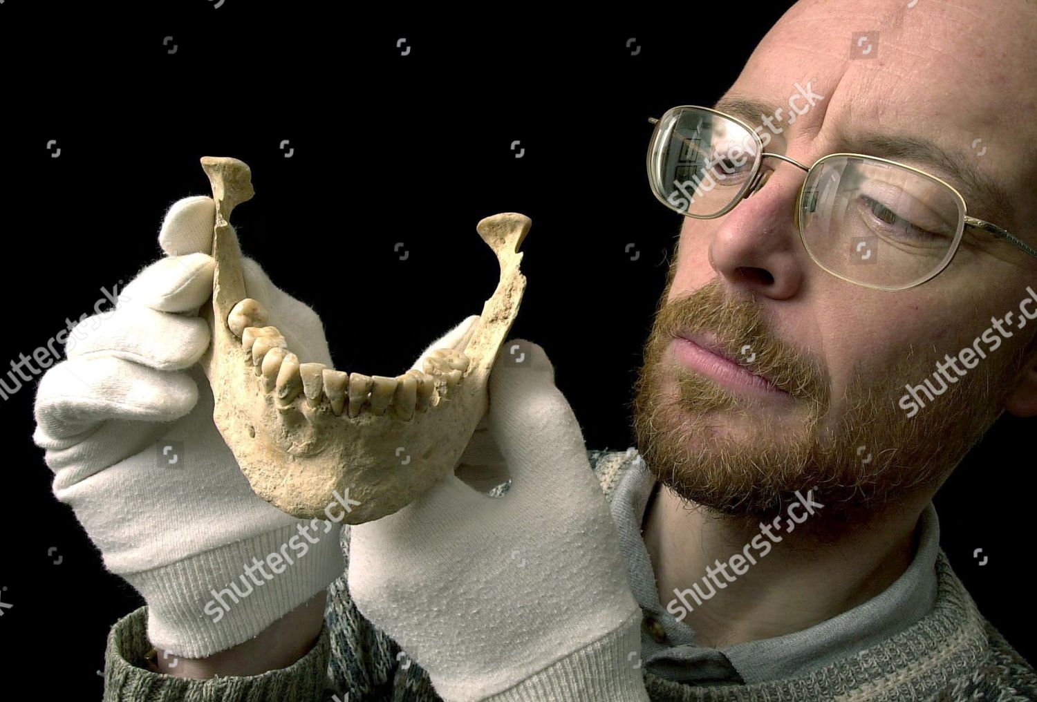 Dr Simon Mays English Heritage Skeletal Editorial Stock Photo - Stock ...