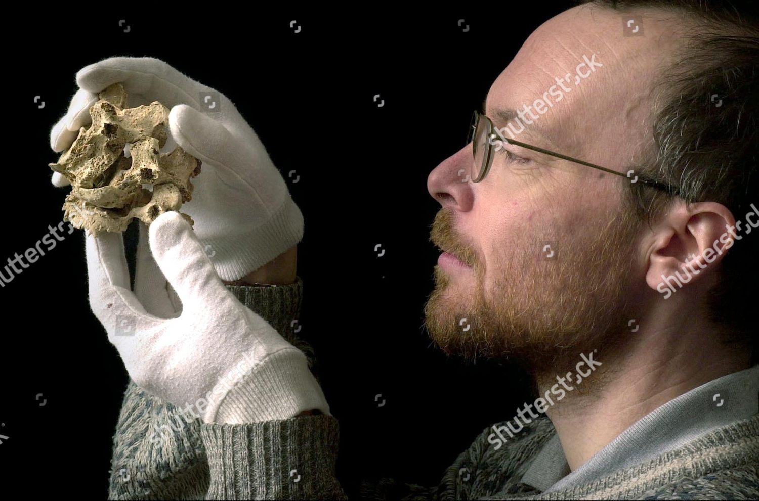 Dr Simon Mays English Heritage Skeletal Editorial Stock Photo - Stock ...