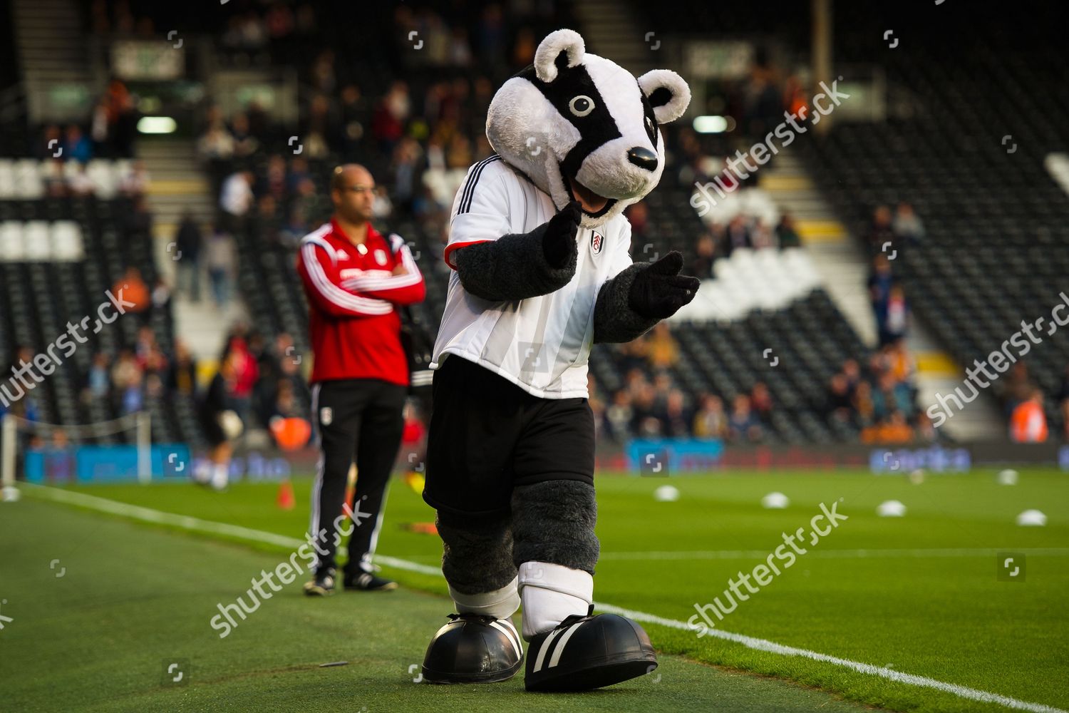Fulham Mascot Billy Badger Editorial Stock Photo - Stock Image ...