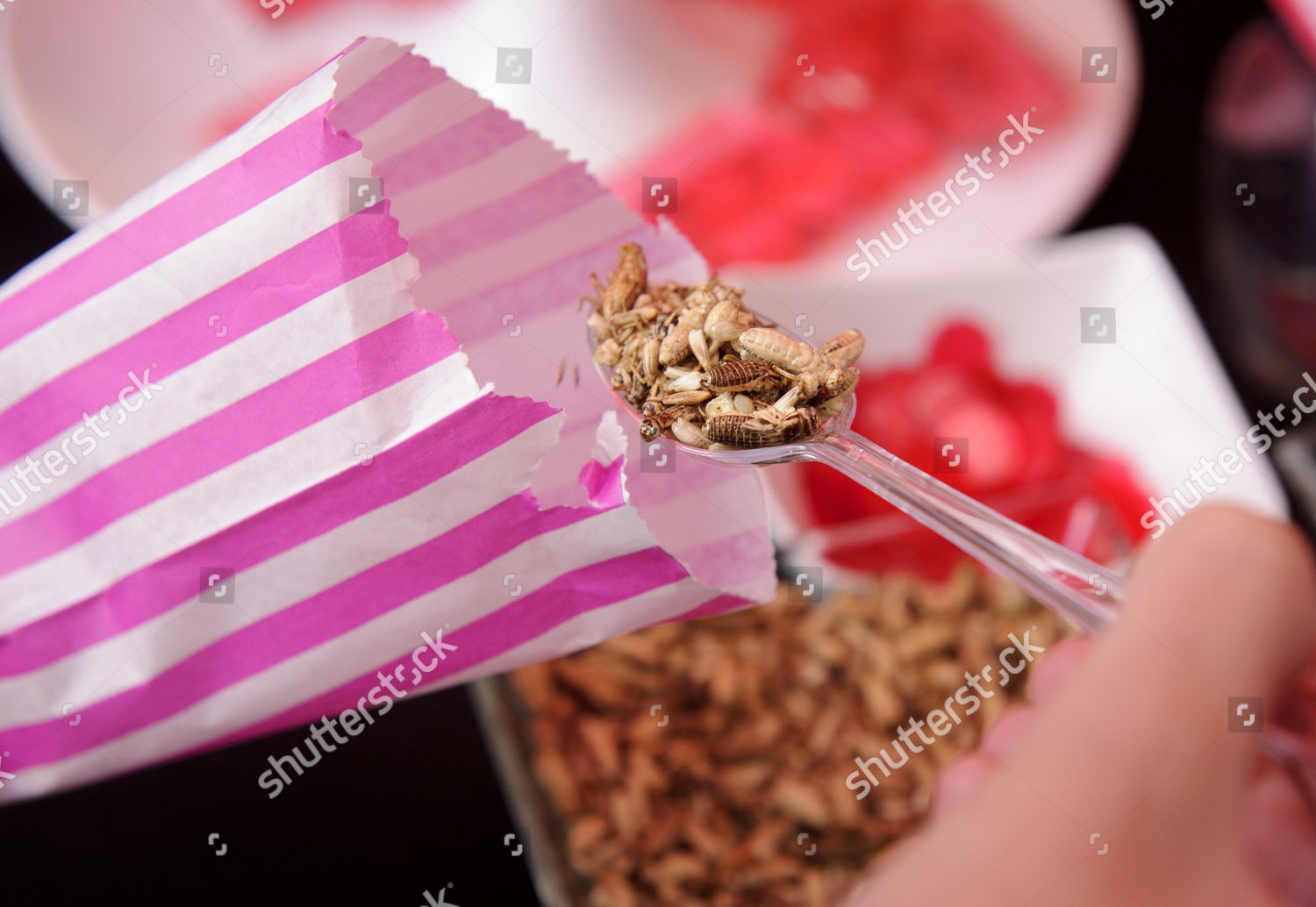 Insect Pick Mix Bag Editorial Stock Photo - Stock Image | Shutterstock