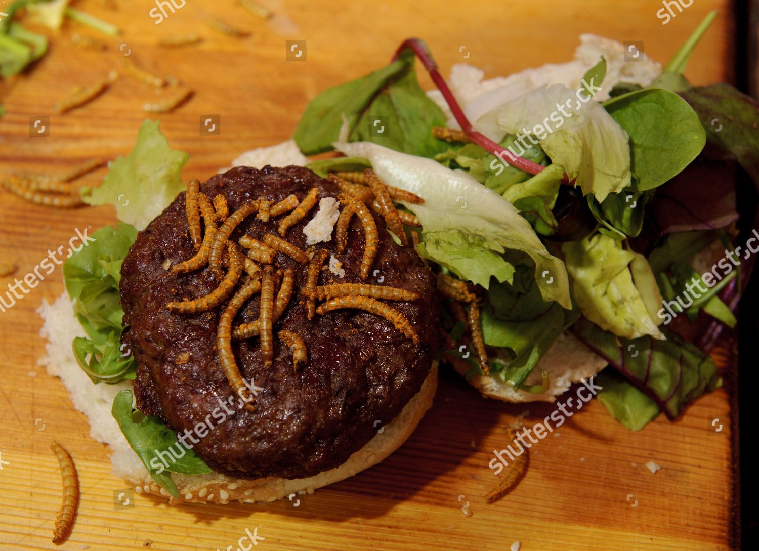 Sweet Chilli Pigeon Burgers Garnished Cheddar Editorial Stock Photo ...