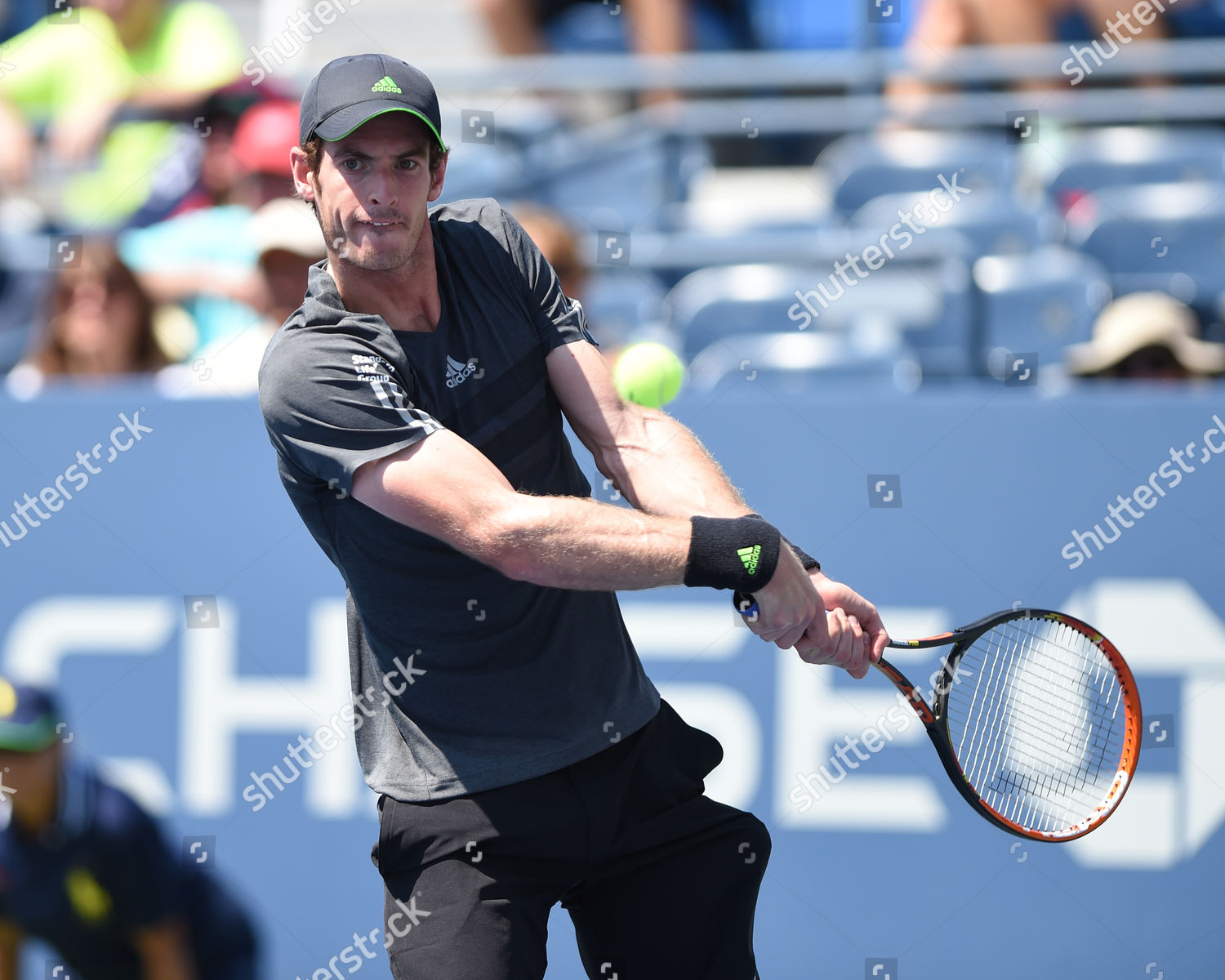 Andy Murray Editorial Stock Photo - Stock Image | Shutterstock