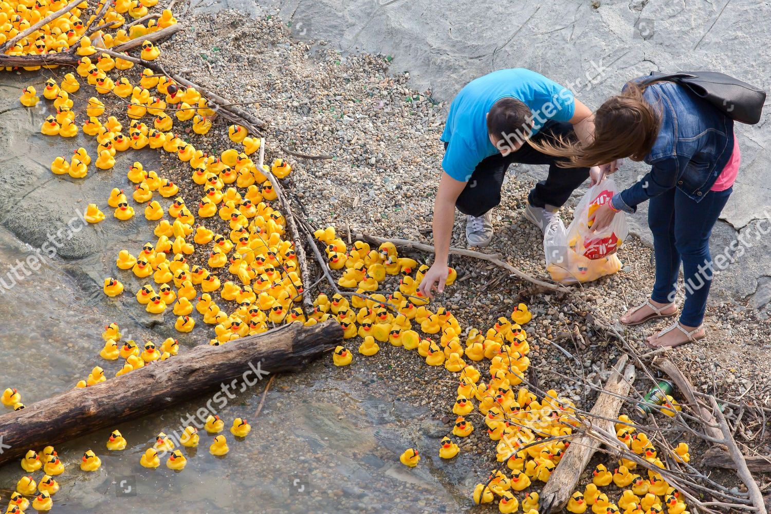 Thousands Rubber Ducks Float Down Danube Editorial Stock Photo - Stock ...