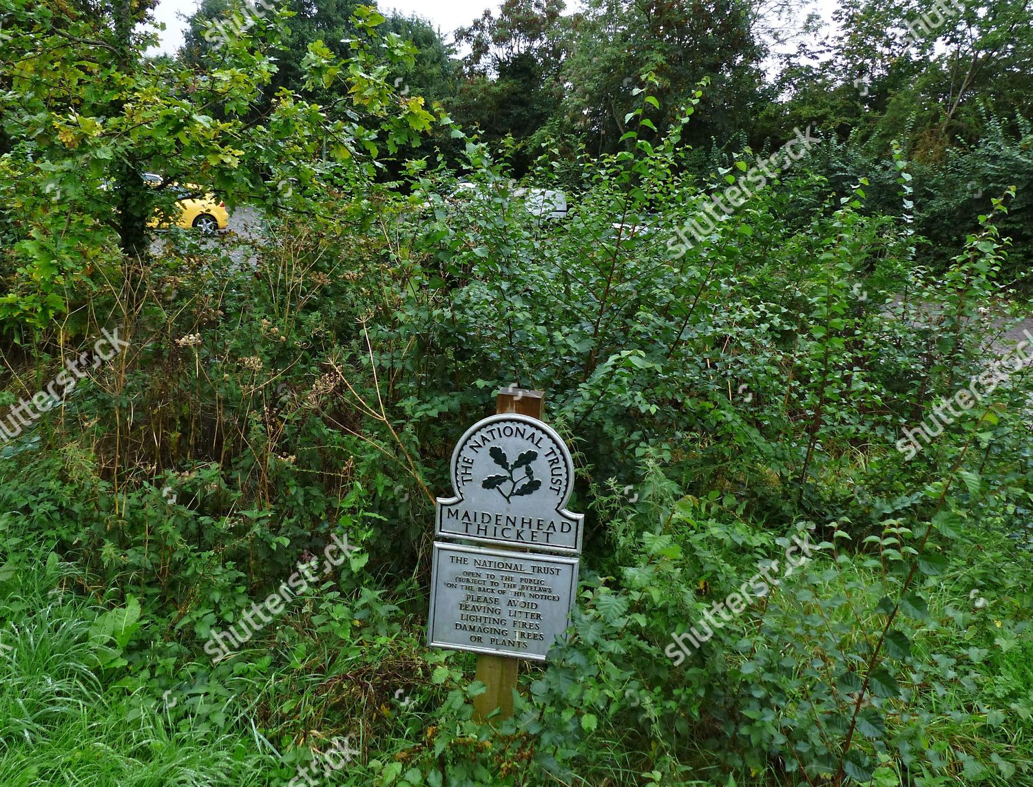 Overgrown Car Park Entrance Maidenhead Thicket Editorial Stock Photo ...
