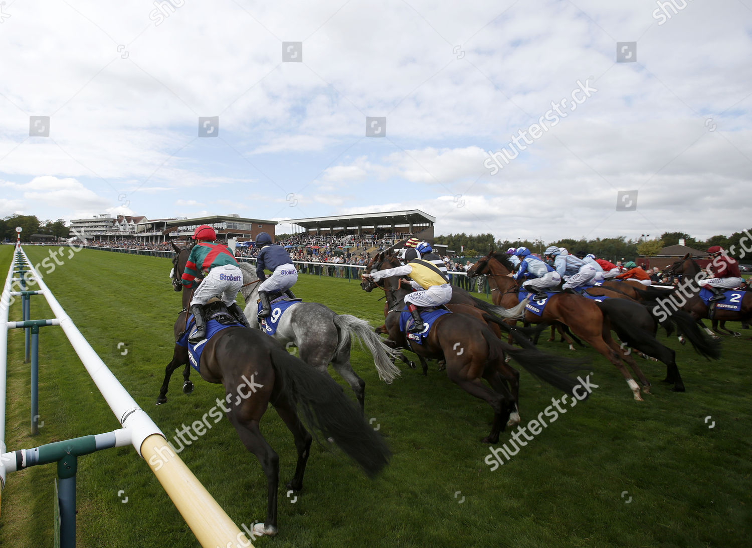 Horses Breaking Stalls Betfred Tv Old Editorial Stock Photo - Stock ...