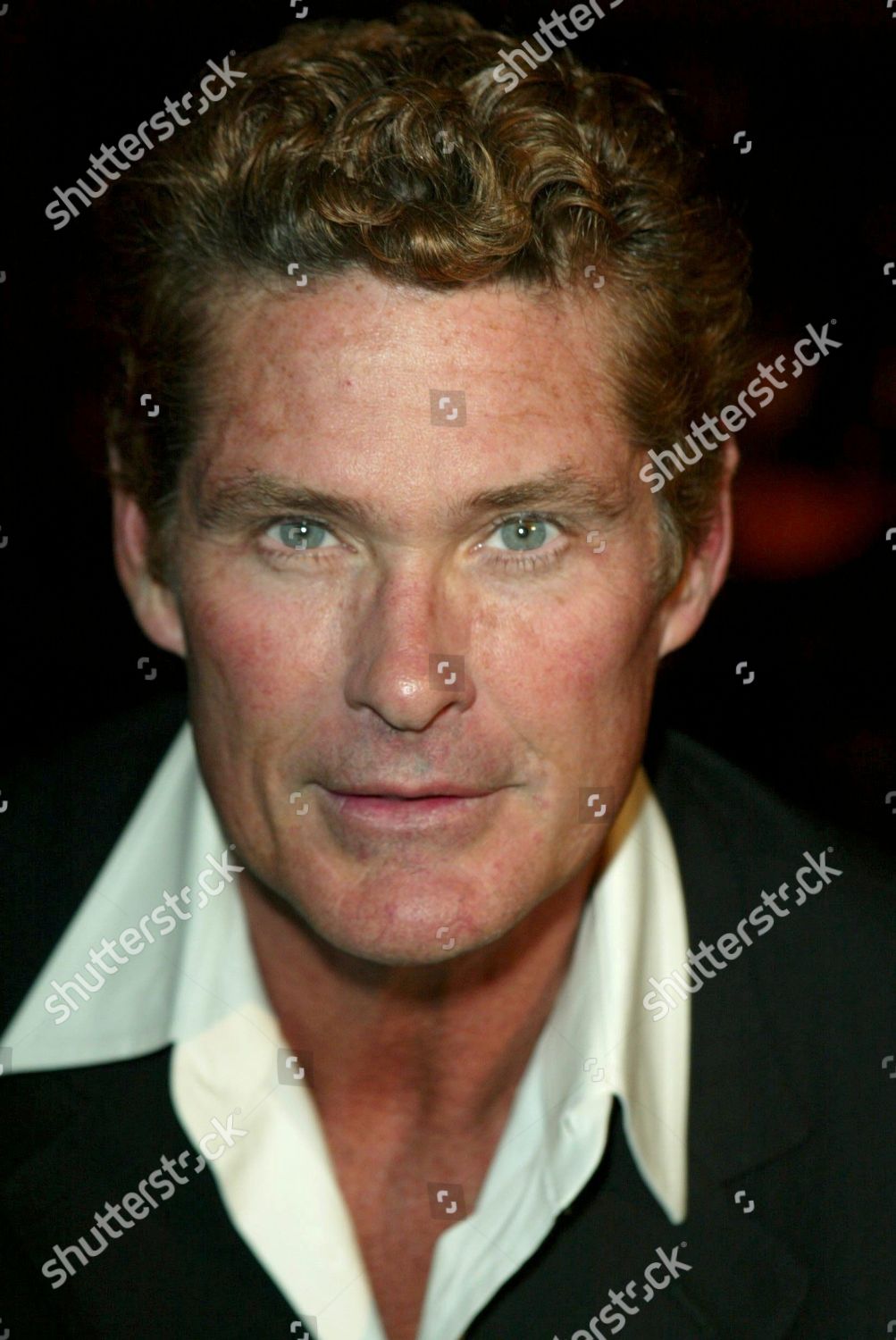 David Hasselhoff Editorial Stock Photo - Stock Image | Shutterstock