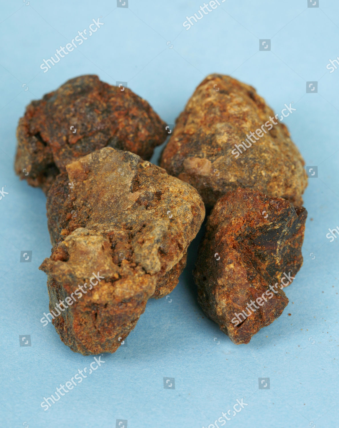 Myrrh Dried Sap Tree Commiphora Myrrha Editorial Stock Photo - Stock ...