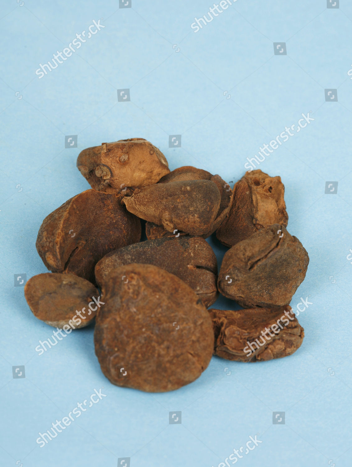 Kola Nut Contains Caffeine Chewed Many Editorial Stock Photo - Stock ...
