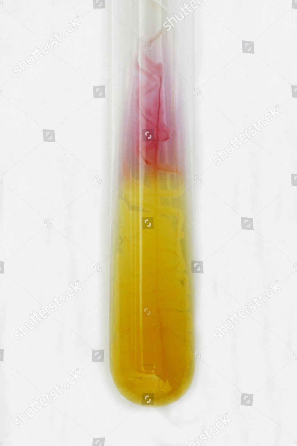 Glass Test Tube Containg Unknown Yellow Editorial Stock Photo - Stock ...
