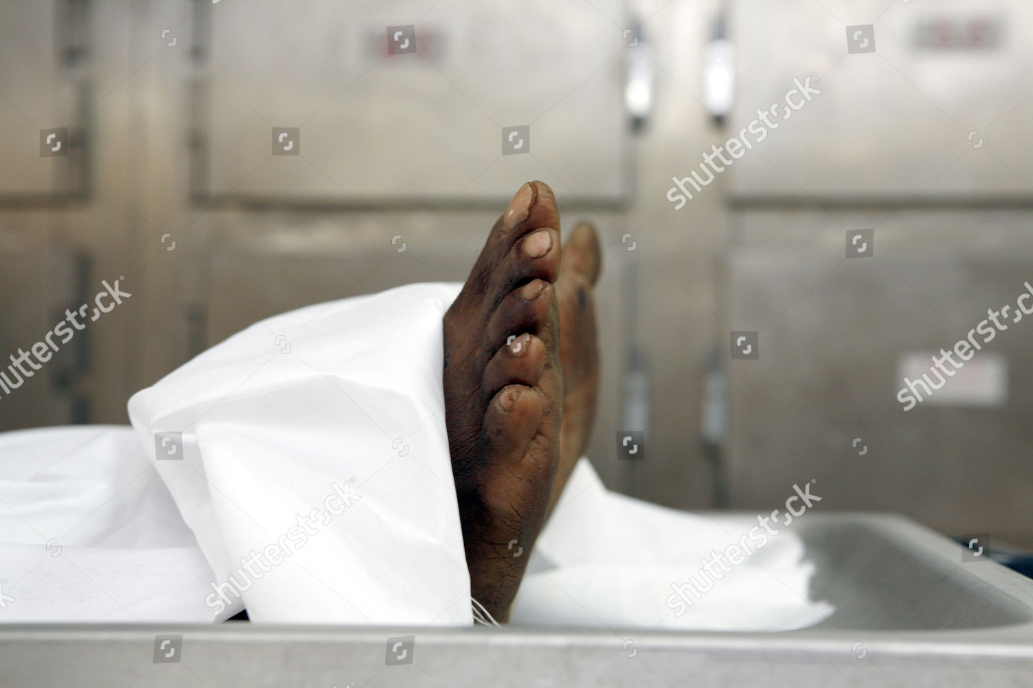 Close Feet Corpse Mortuary Editorial Stock Photo - Stock Image ...