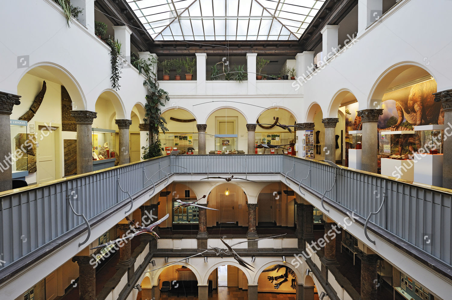 First Floor Paleontological Museum Munich Bavaria Editorial Stock Photo ...