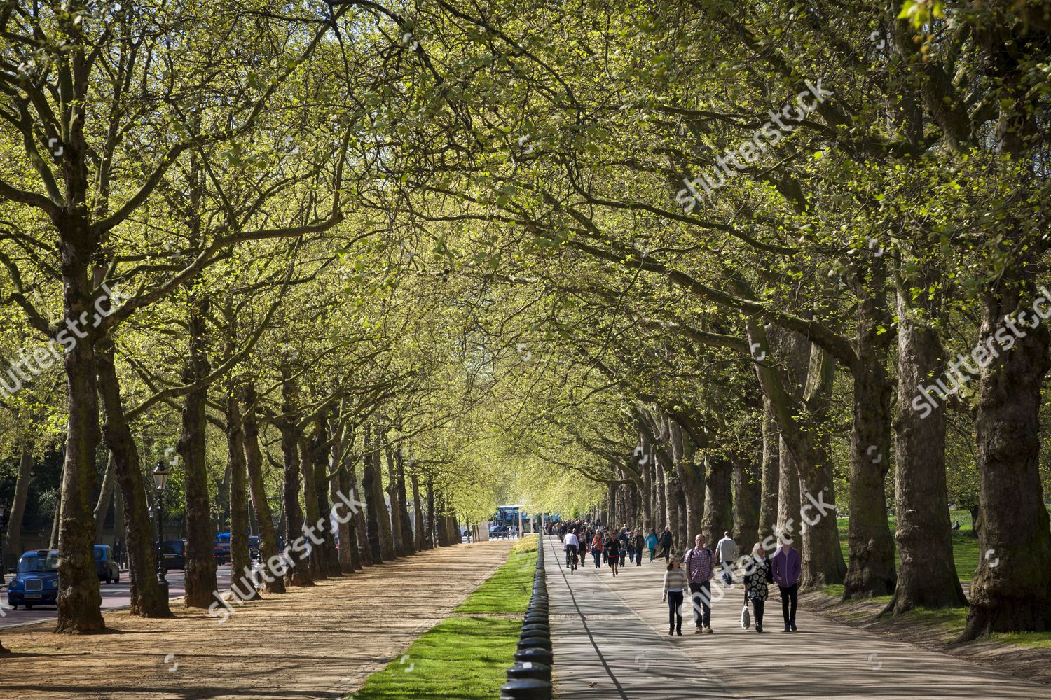 Tree Lined Paths Constitution Hill London Editorial Stock Photo - Stock ...